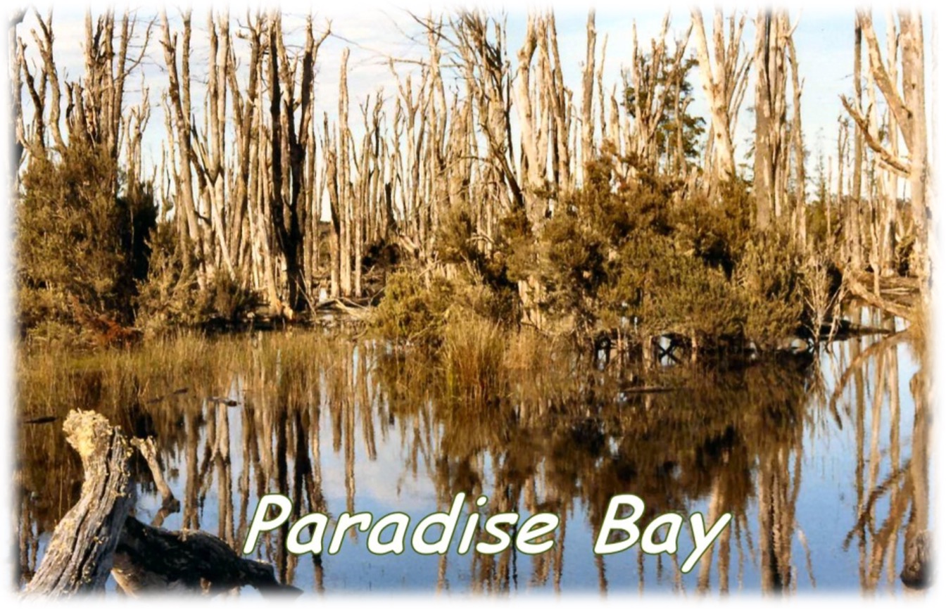 Fishing at the Pulp Dam: some memories and notes from Bob French’s ...