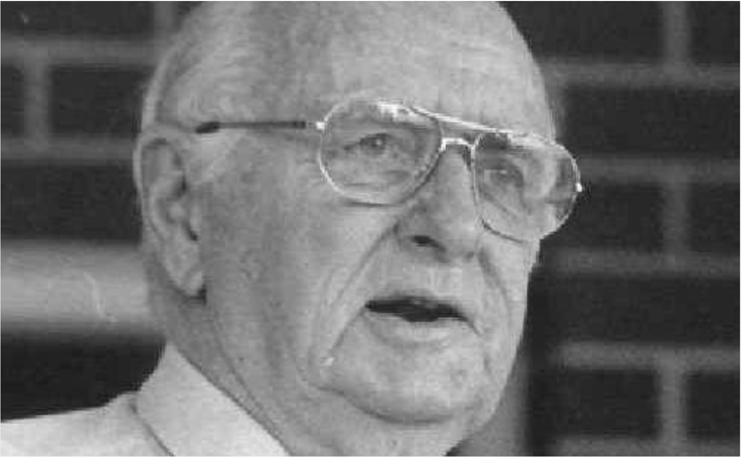 The truth behind the rainforest battles in NSW (part 2) – a growing ...