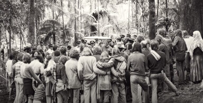 Forestry – Website | www.robertonfray.com