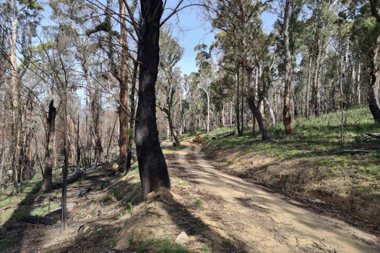 A case study in folly #2 – the 2003 Canberra firestorm