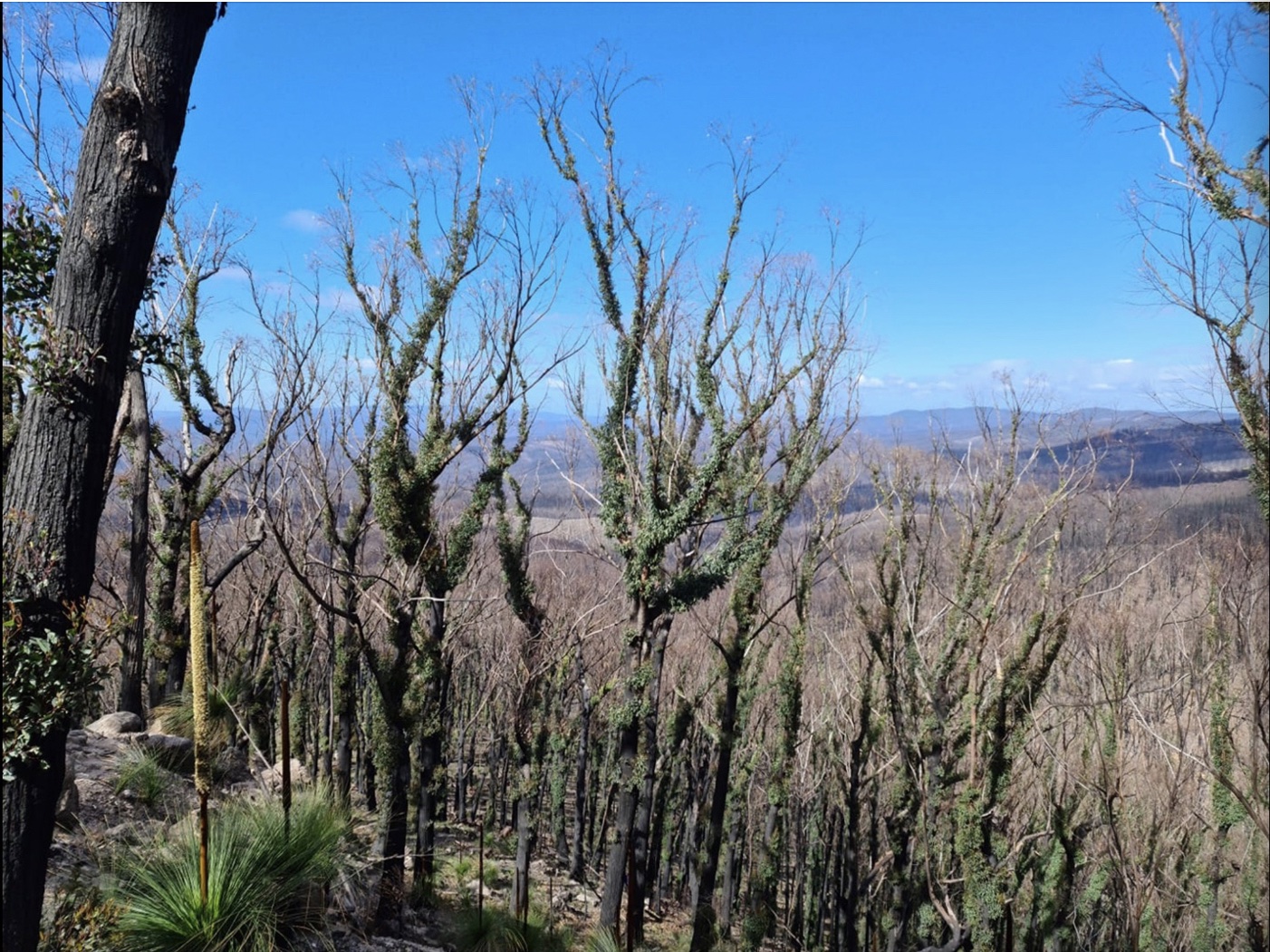 Proof that species are declining in our reserves set up to protect them ...