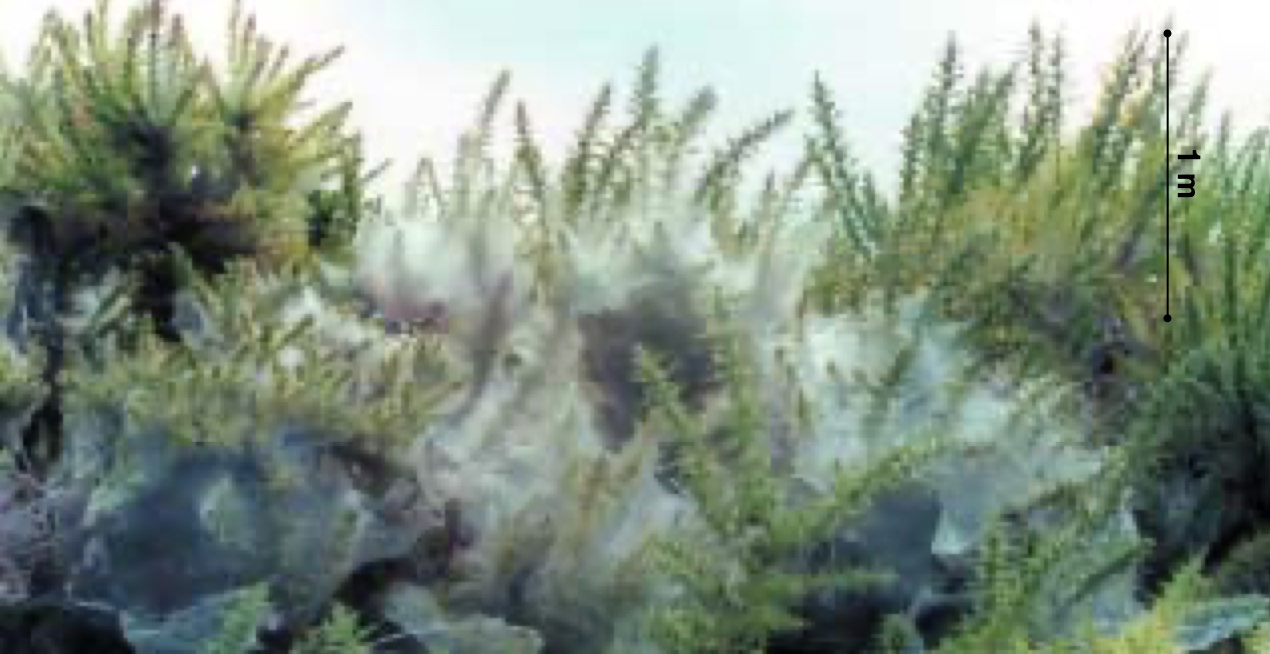 How the Hampshire Hills became a sea of yellow