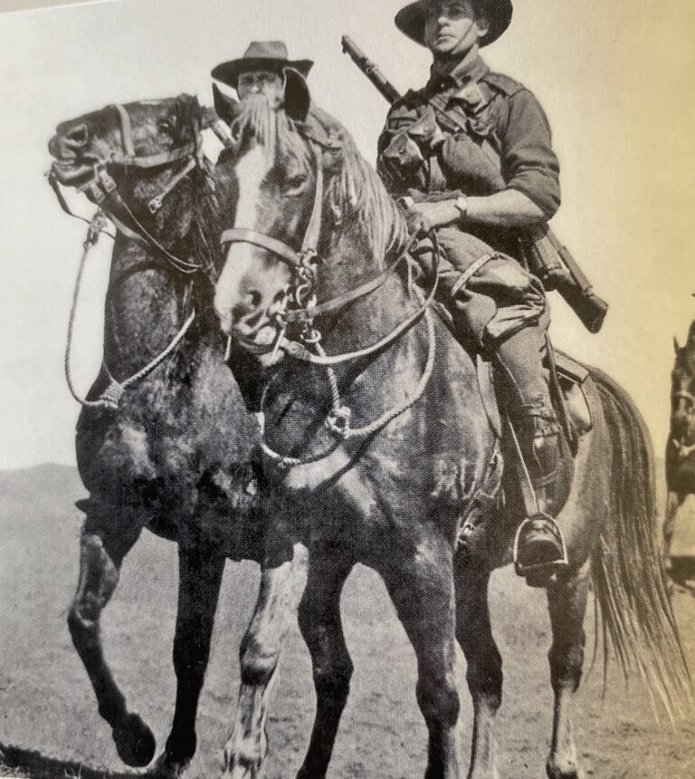 The Waler – a remarkable horse and an Aussie legend