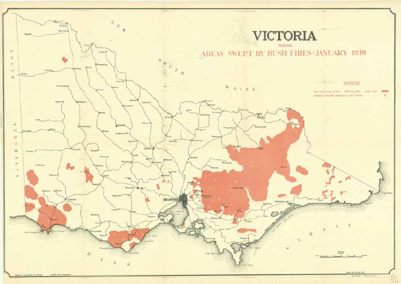 The 1939 fires – a blame game