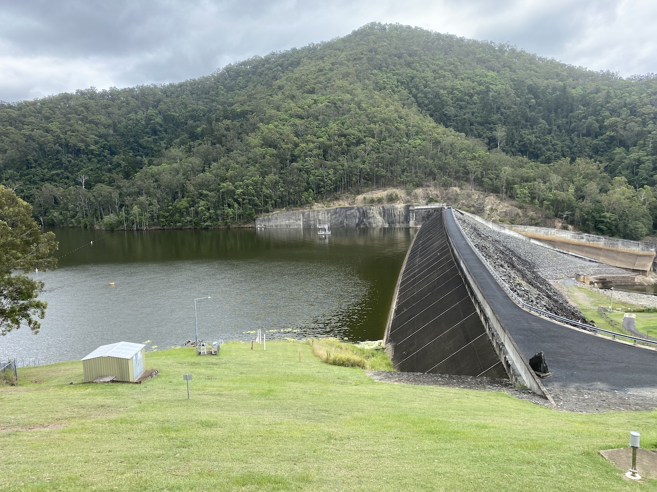 Killing koalas to “save” polar bears – Website | www.robertonfray.com