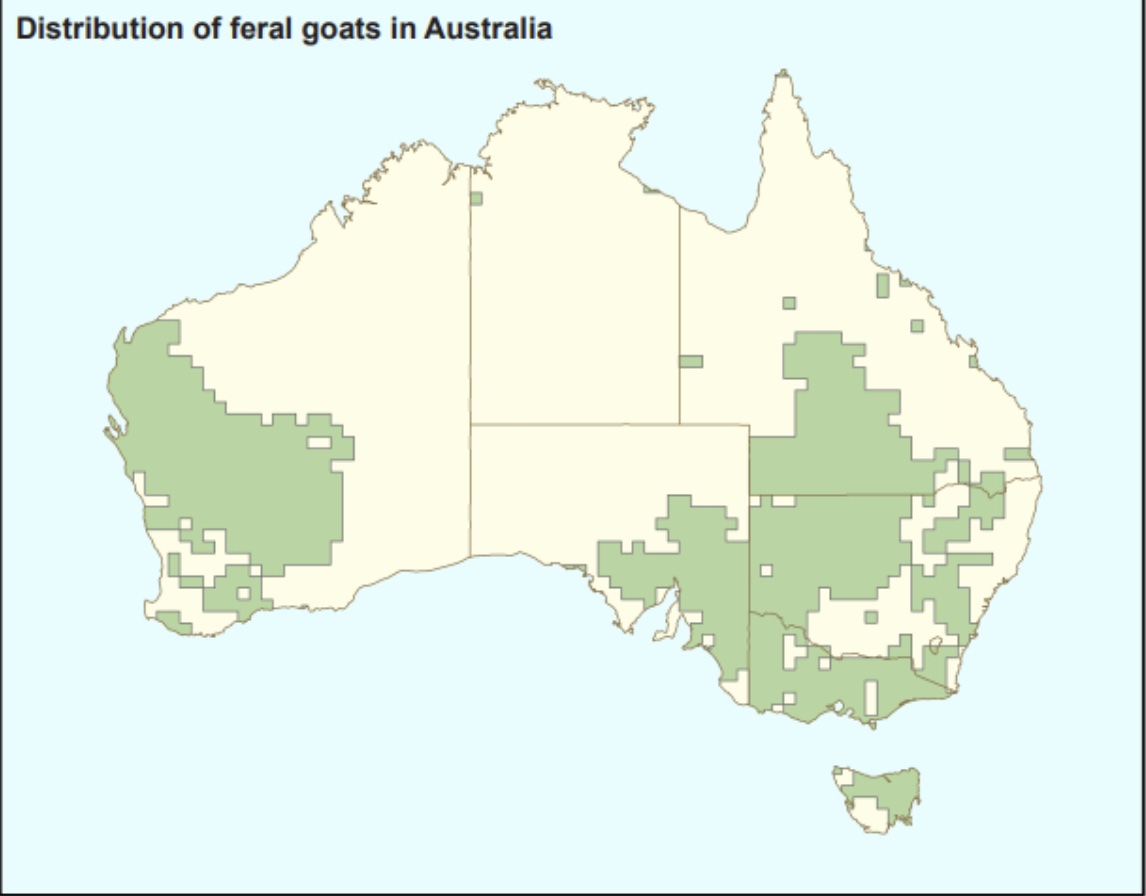 Can rangeland pastoralists survive by riding on the goat’s back?