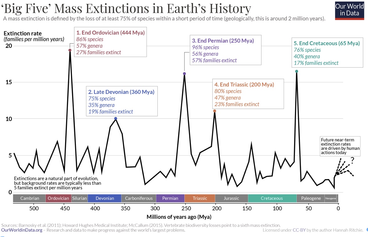 The 6th Mass Extinction Crisis – speculation without substance ...