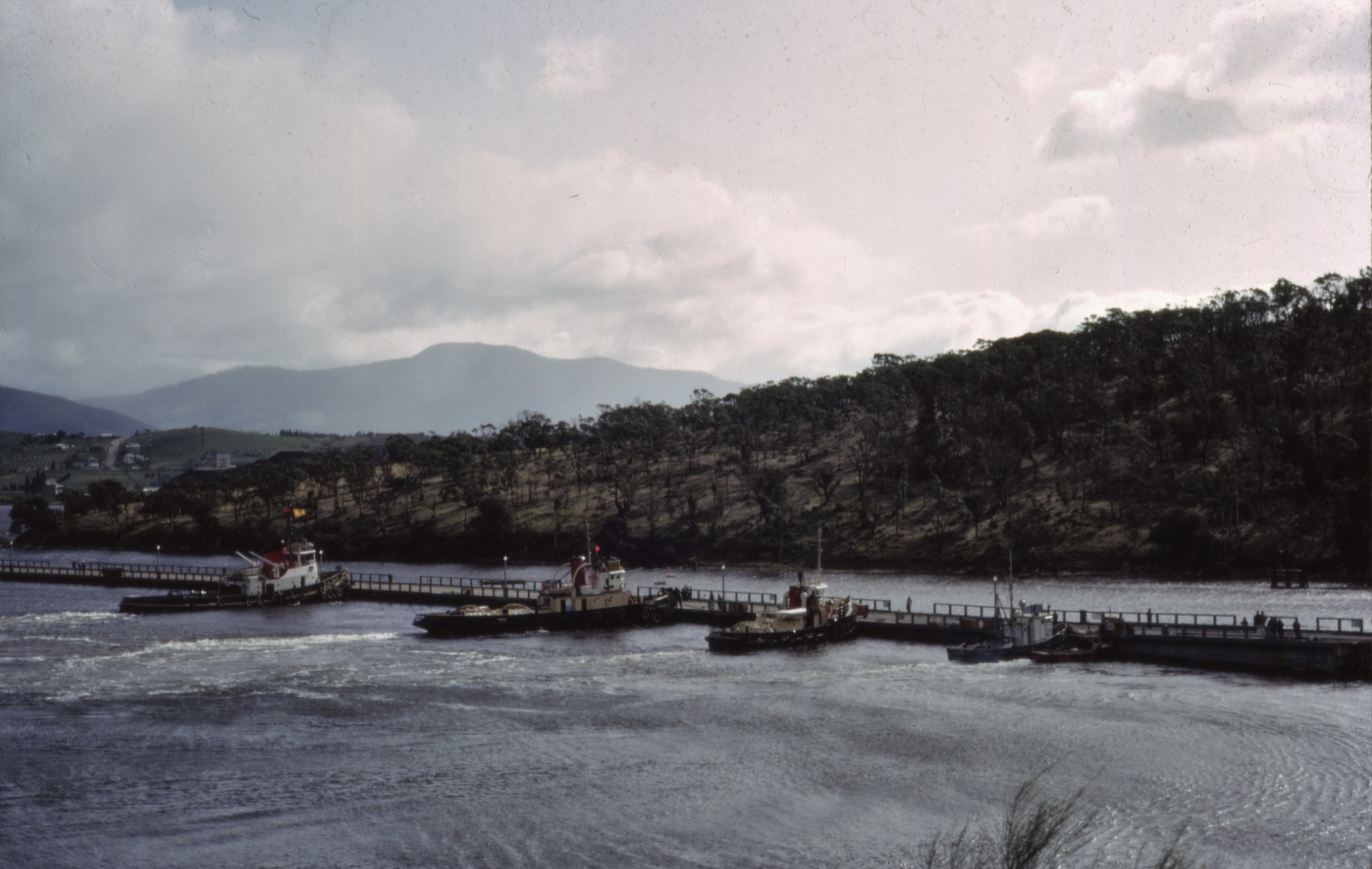 Tragedy on the Derwent: Remembering the 1975 Tasman Bridge Disaster, 50 ...