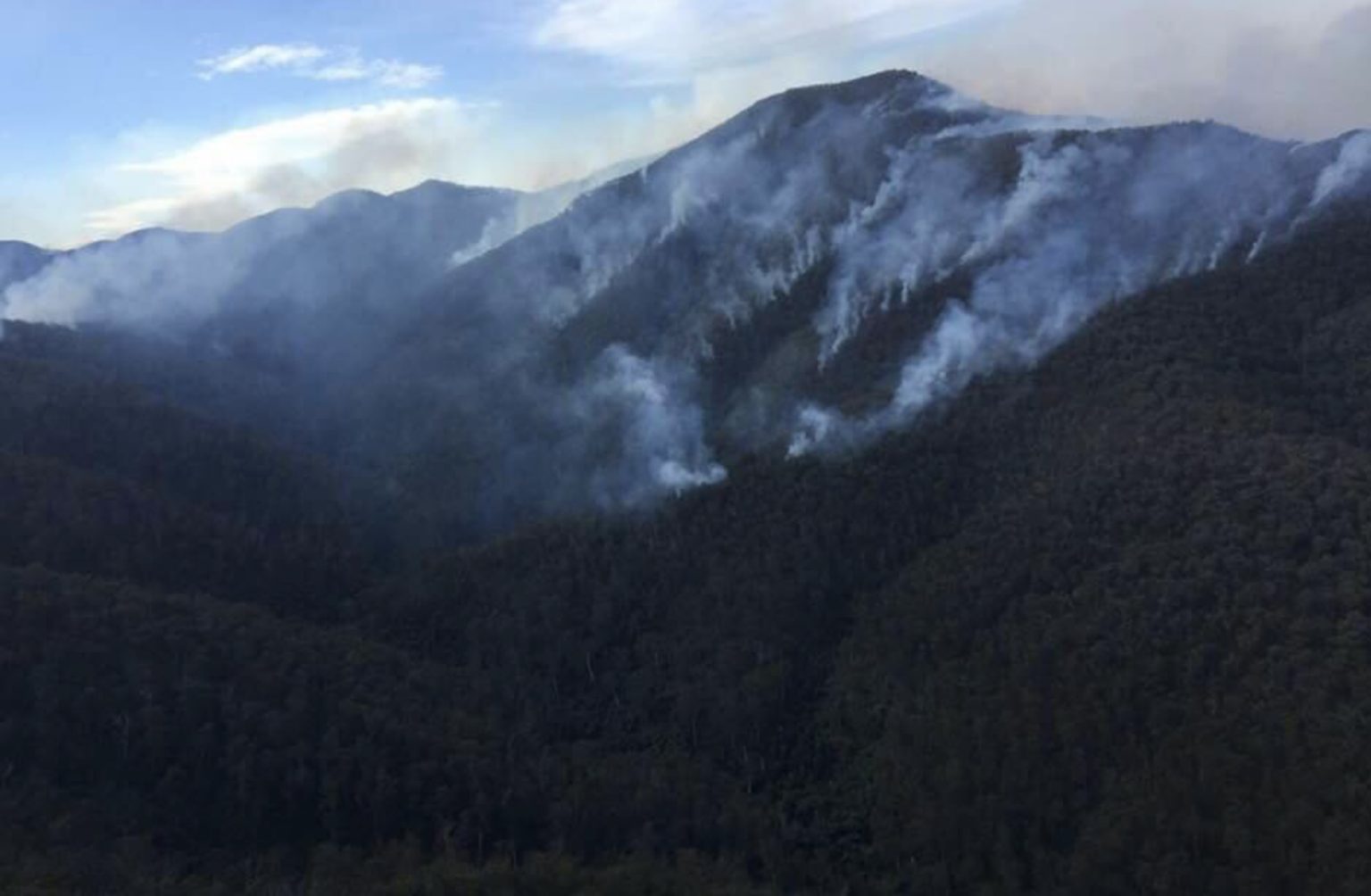 A case study in folly #5: Firestorm of incompetence – what Yankees Gap ...